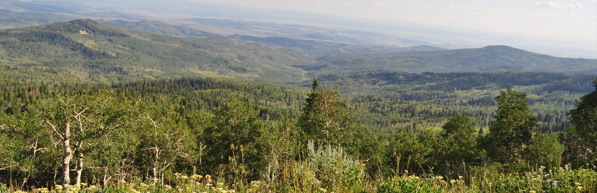 Photo Gallery – The Colorado Wilderness Ranch