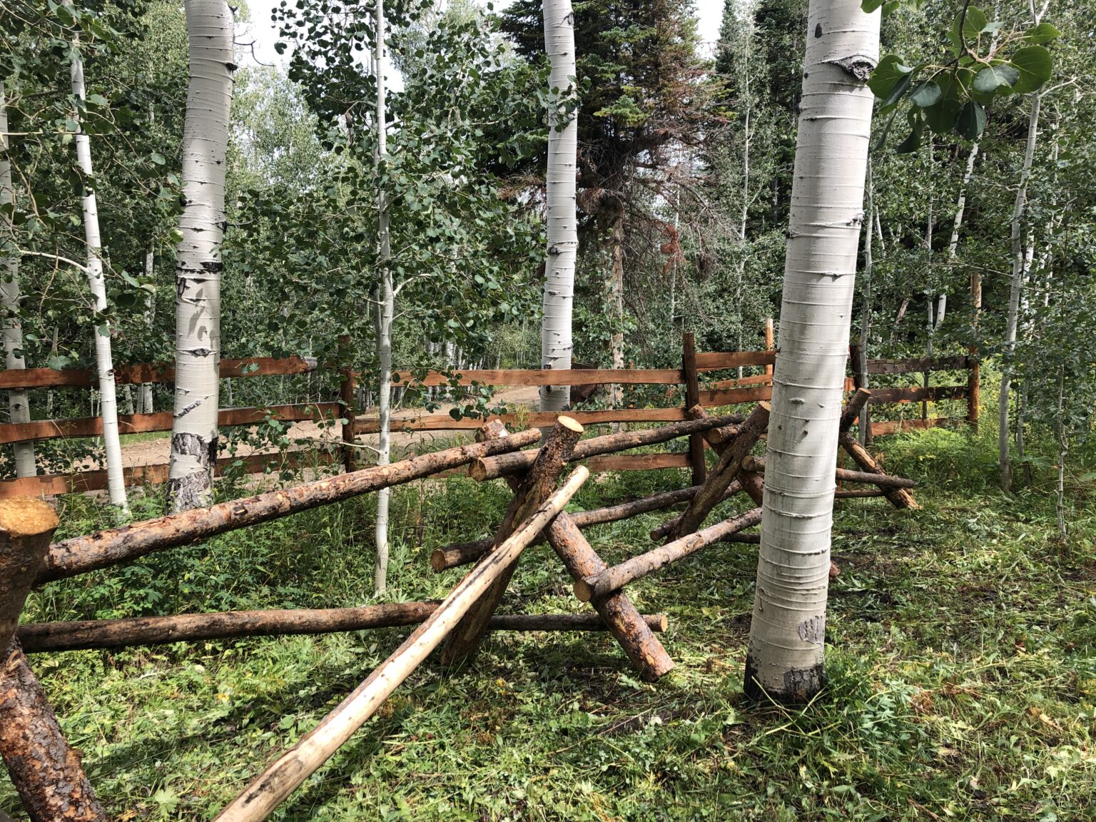The Colorado Wilderness Ranch