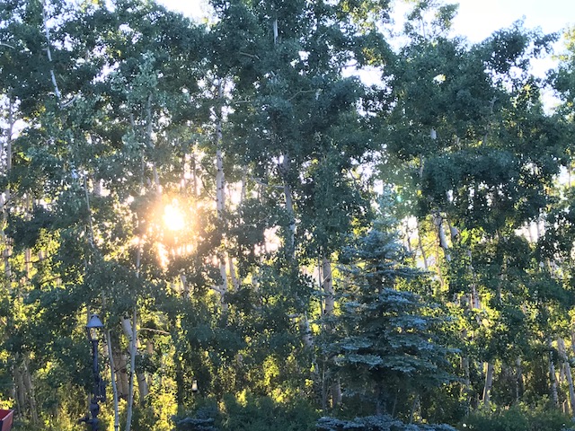 Association – The Colorado Wilderness Ranch